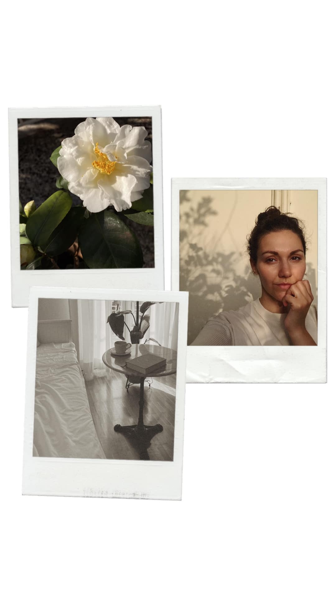 life in my calm era - Sunday Brunch Avenue